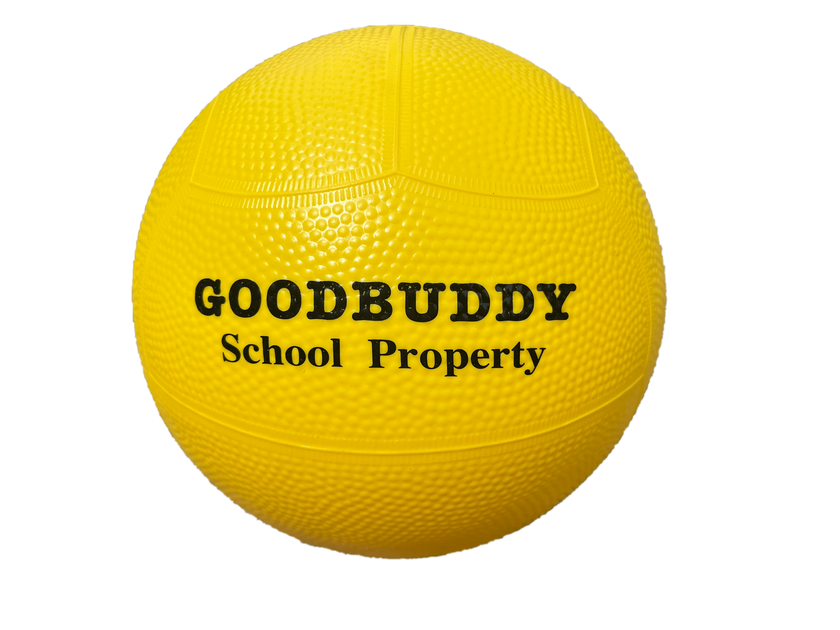 PVC Dodgeball – Goodbuddy Sports